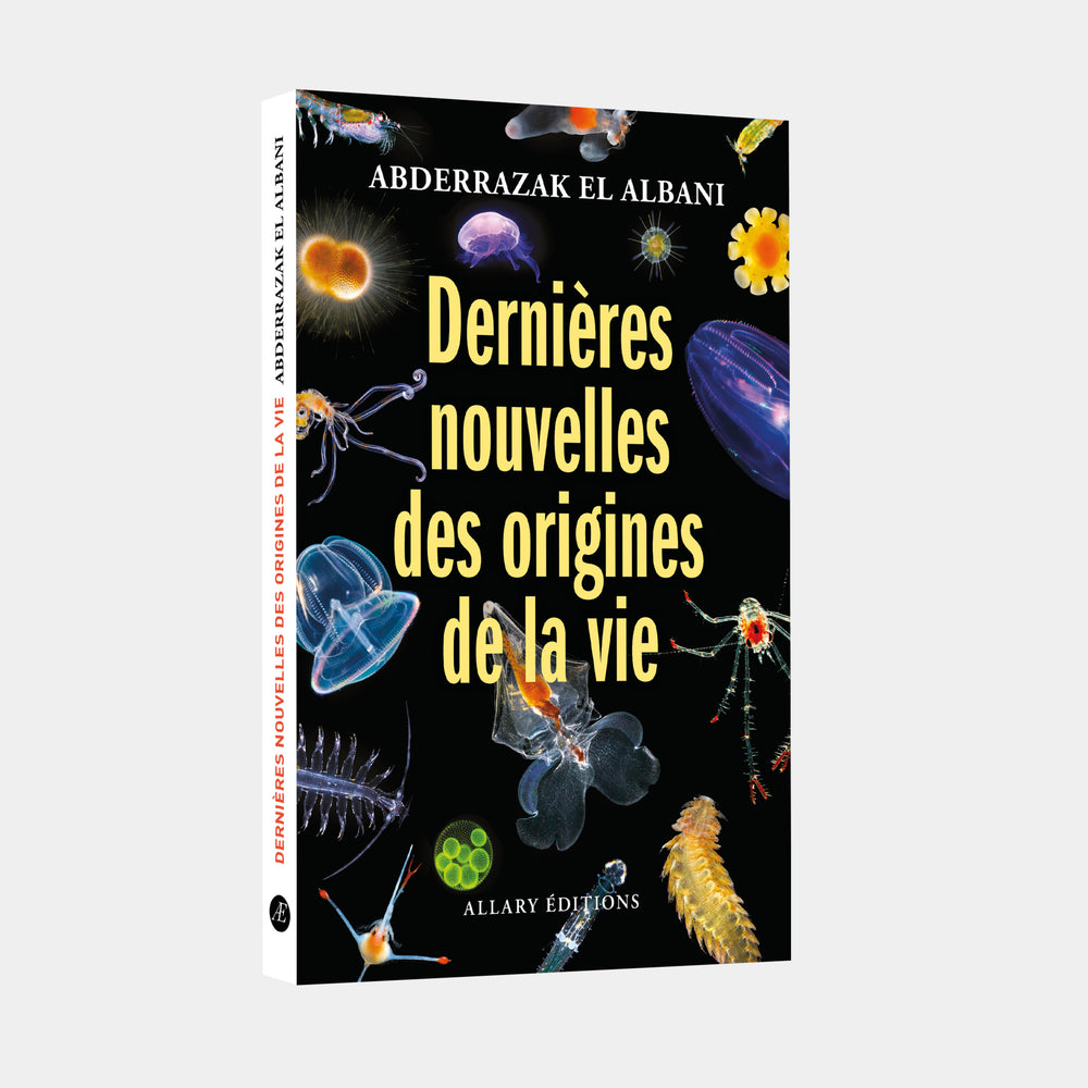 Maison indépendante – Allary Editions